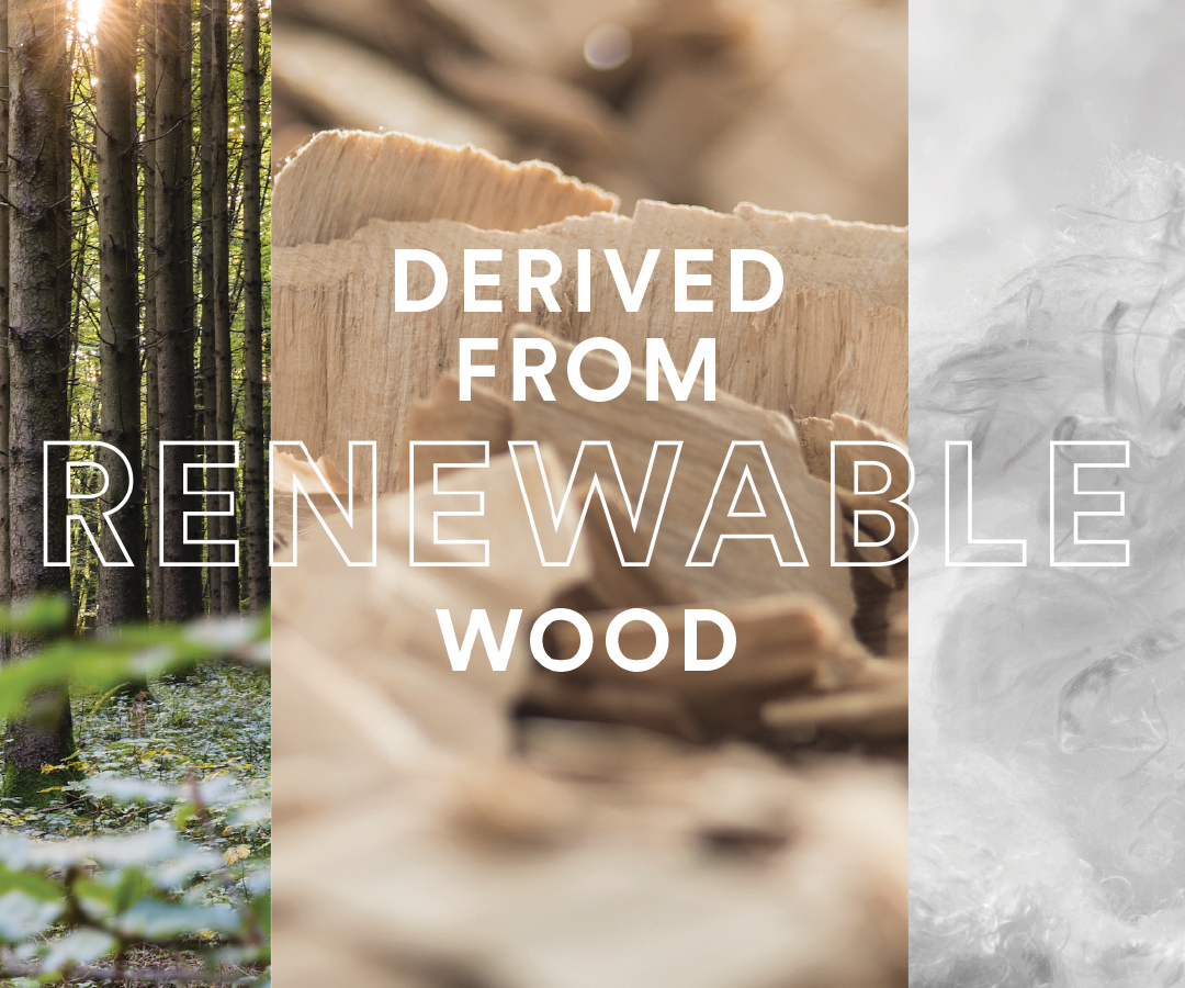 Responsibility | BaseCreate